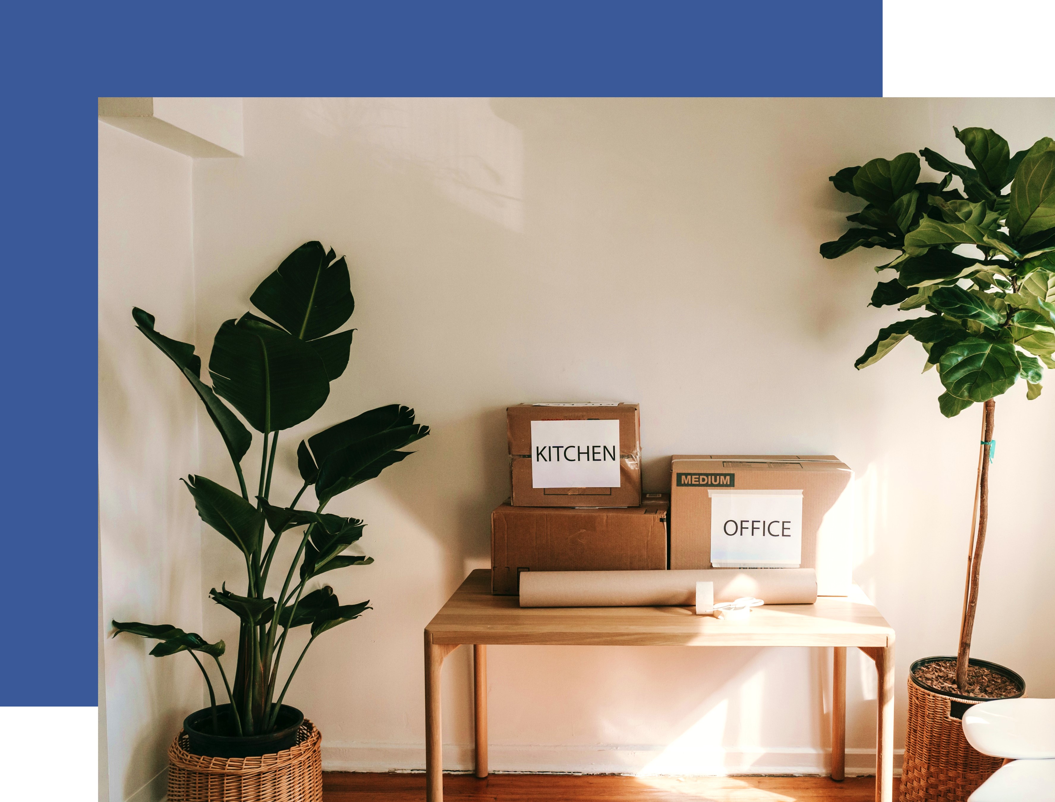 declutter-and-background – Navigating Widowhood